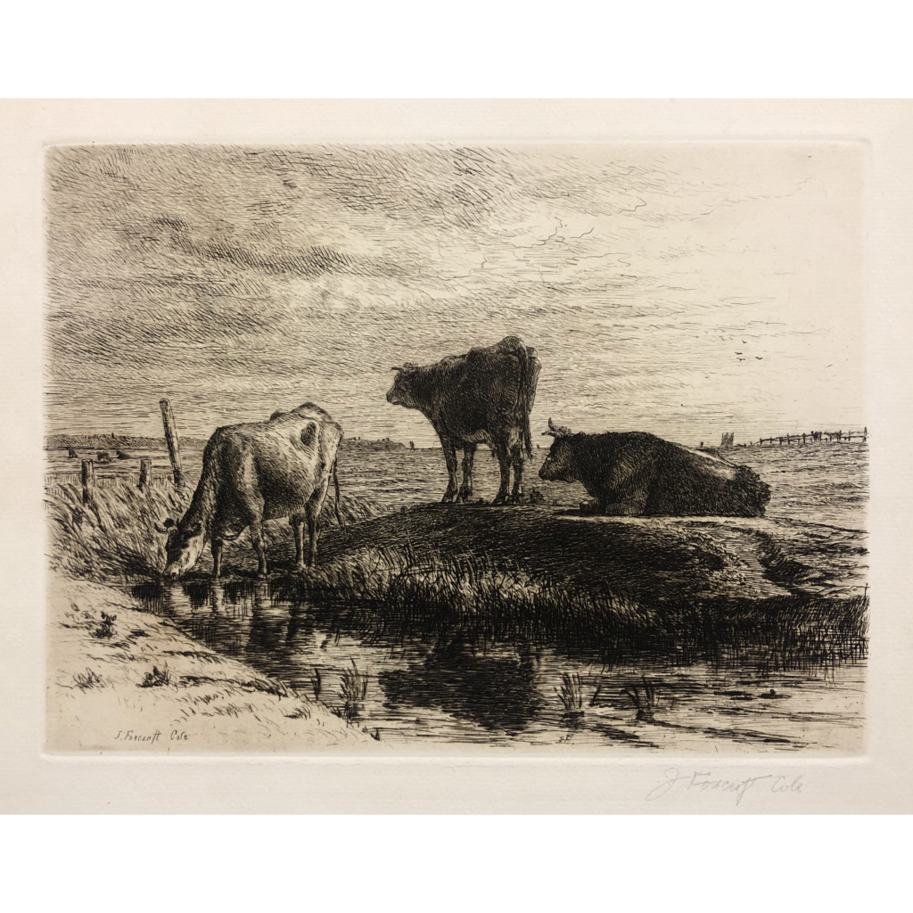 Three Cows - The Rivolo Collection